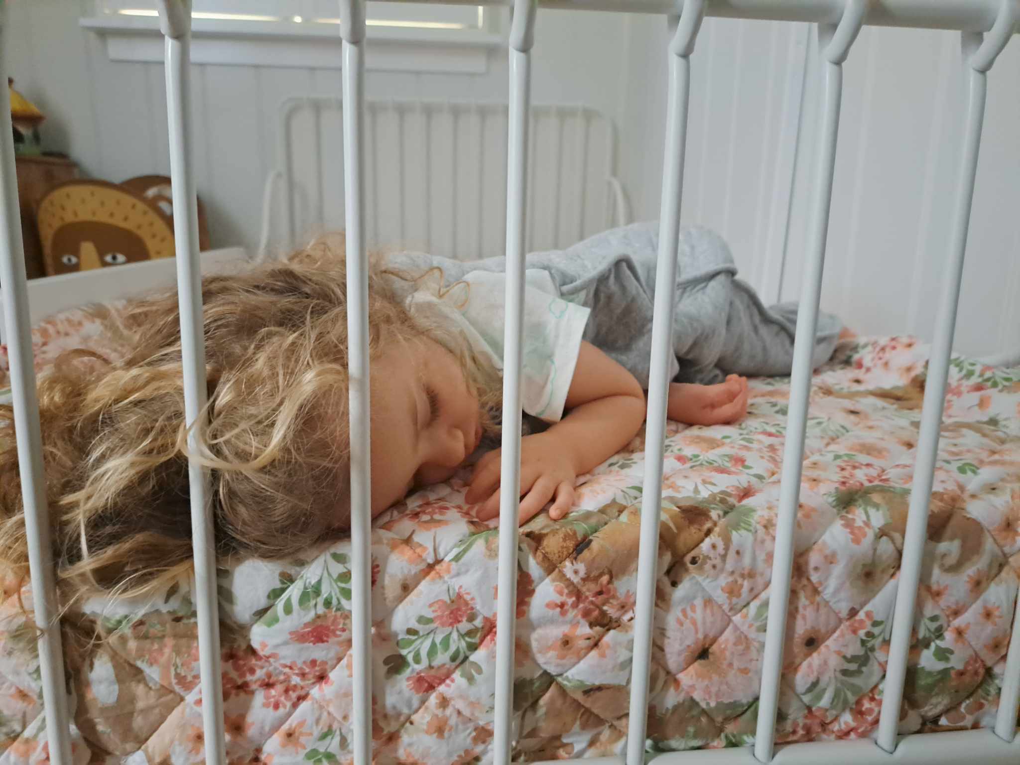 teddy Junior LUXE Matttress for Kids Review