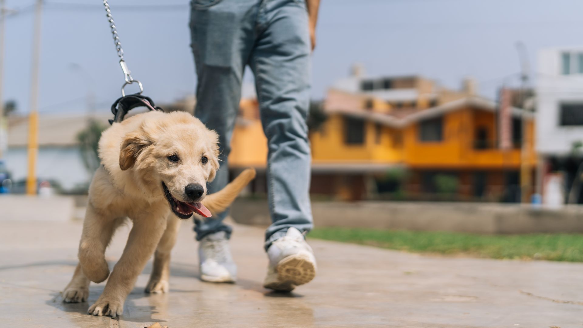 The Fun Stopper - Mumslounge