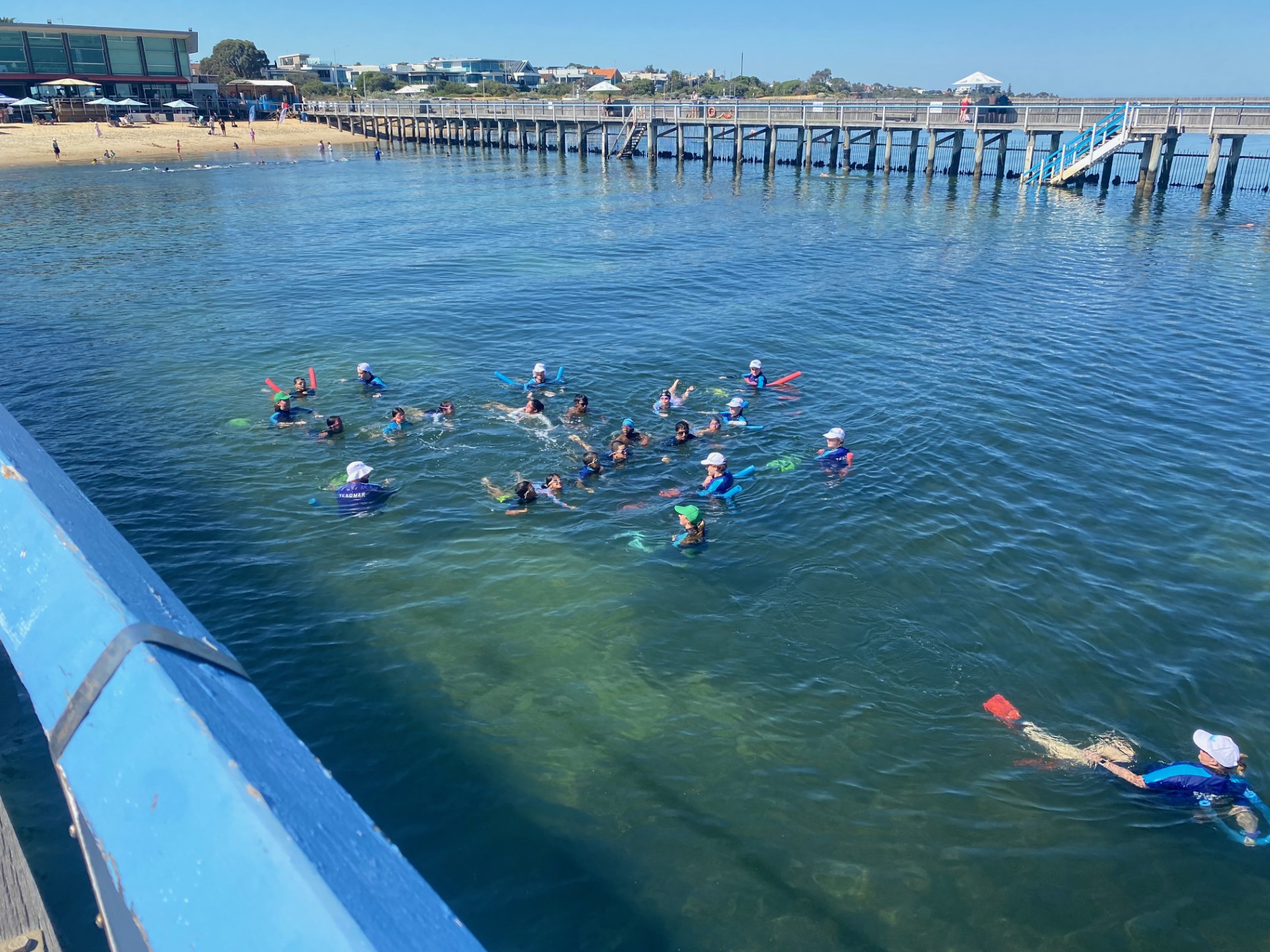 Over 500 Victorian Kids to Take Part in Open Water Swim This Weekend ...