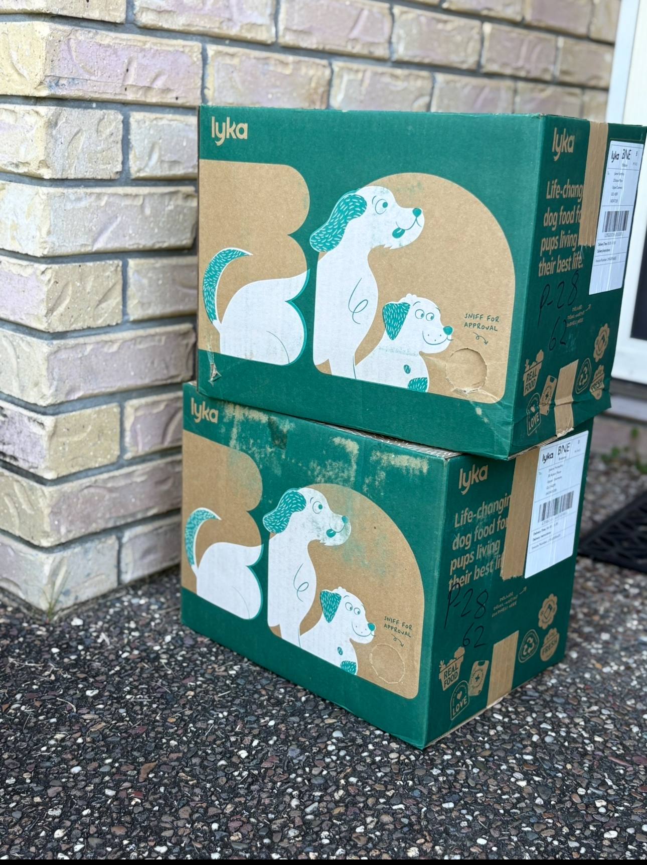 Lyka Pet Food Review: How Lyka Made Me Rethink What I Feed My Dogs ...